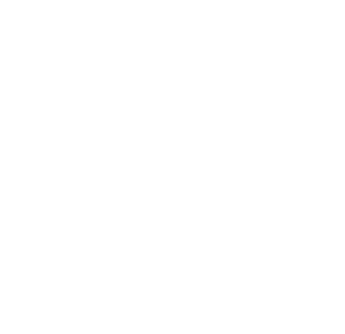 silke-ocean-premium-pe-line-for-slow-jigging – Oceandevil